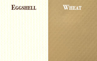 vinyl-shell-colors - Sweetwater Bungalows